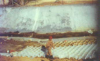 Canals constructed with Hyson Cells - photos and abstract 1