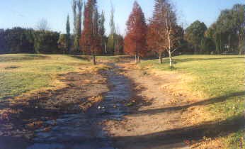 Enviornmental rehabilitation with Hyson Cells - photos and abstract 6