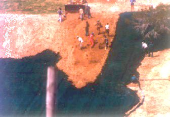 Enviornmental rehabilitation with Hyson Cells - photos and abstract 6