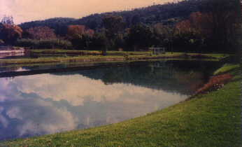 Liners and Ponds with Hyson Cells - photos and abstract 1