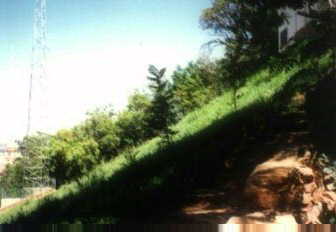 Retaining walls with Hyson Cells - photos and abstract 1