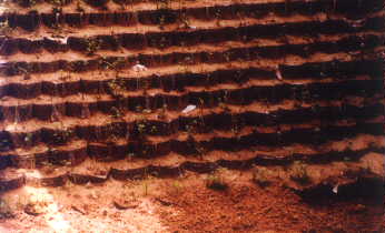 Retaining walls with Hyson Cells - photos and abstract 1